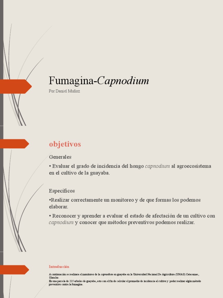 Fumagina-Capnodium, Daniel Muñoz | PDF | Agricultura | Hongo