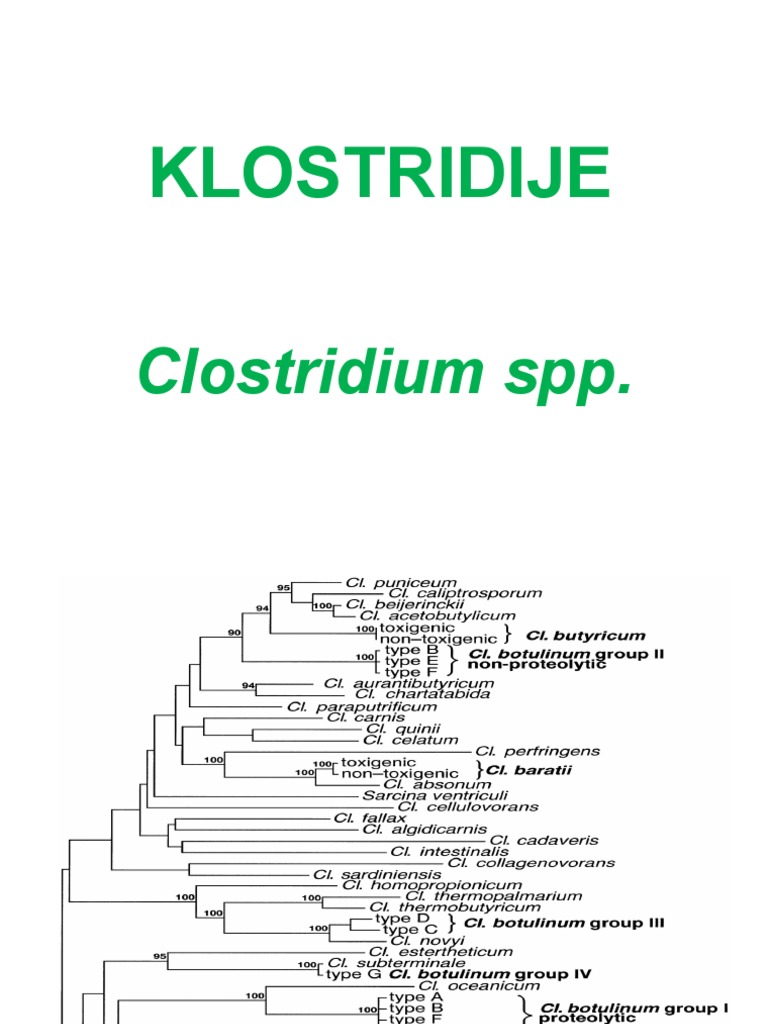 CL - Tetani, CL - Botulinum PD | PDF