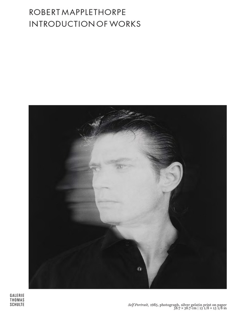 Robert-Mapplethorpe Portfolio | PDF | Photograph | The Arts