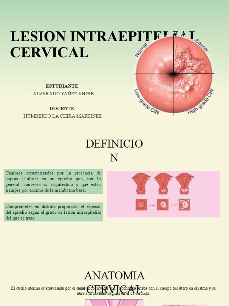Lesiones Intraepiteliales Cervicales | PDF | Anatomía | Enfermedades y ...