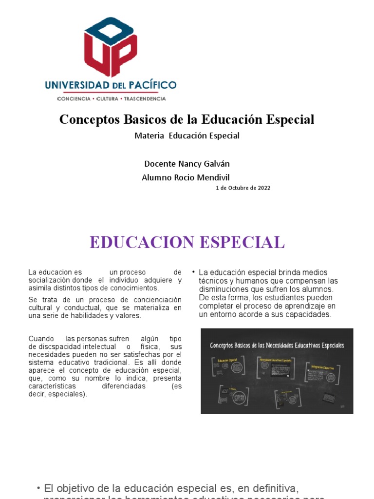 Conceptos Basicos de Educacion Especial | PDF
