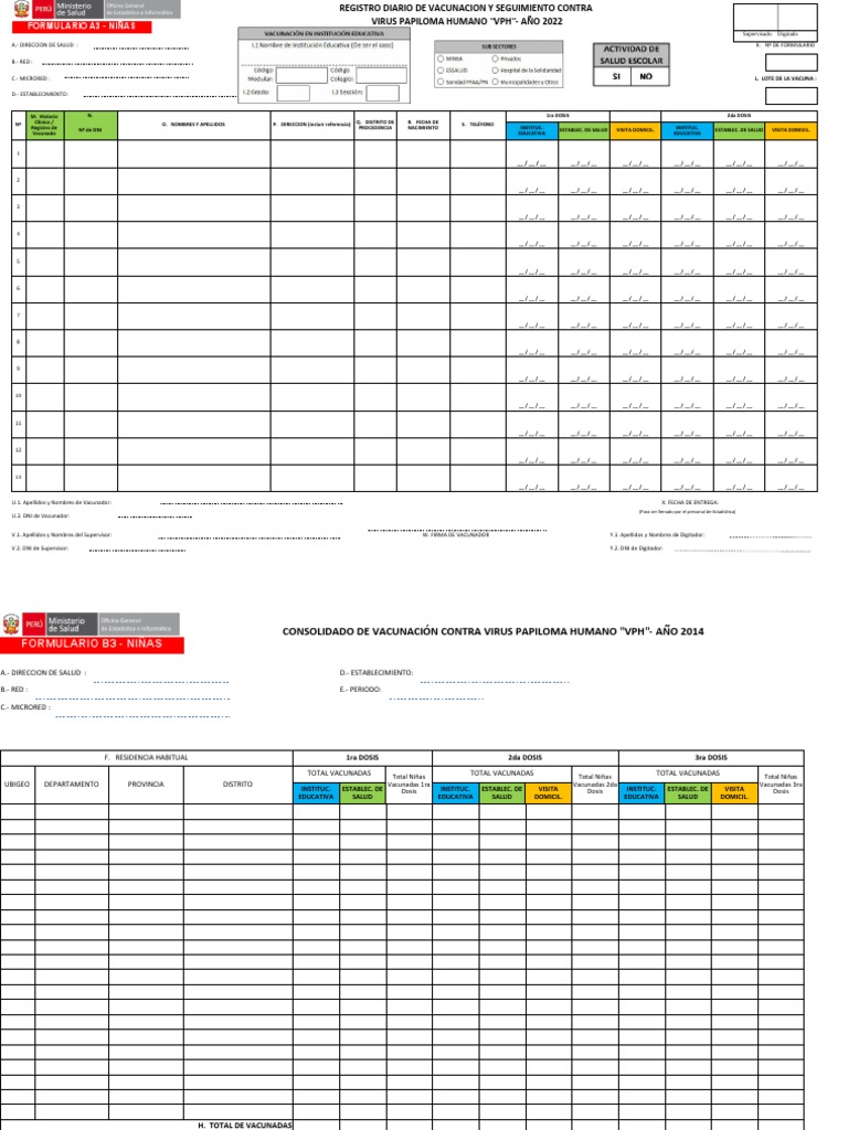 Formatos VPH 2022 Actualizado | PDF | Humanidades Médicas ...