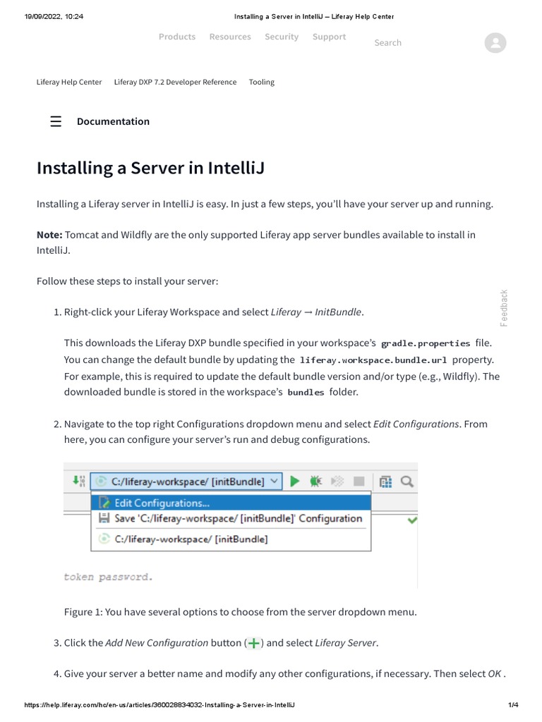 Installing A Server in IntelliJ - Liferay Help Center | PDF | Networking | Internet & Web