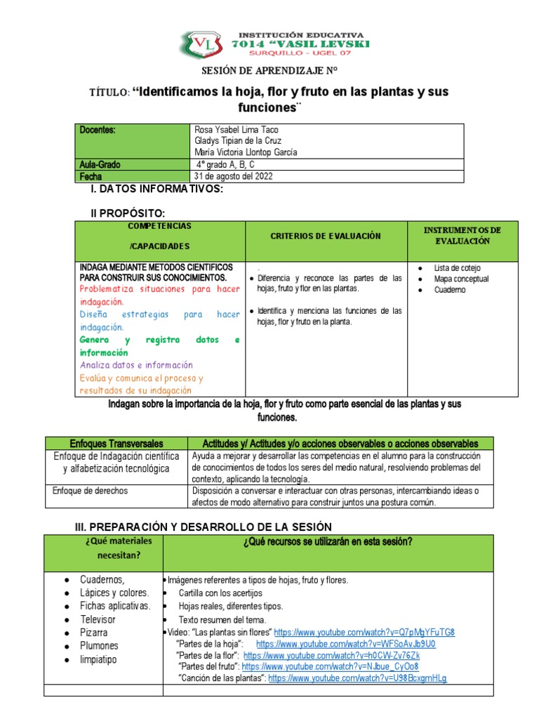 Partes de la Planta: Hoja, Flor y Fruto | PDF | Plantas | Evaluación
