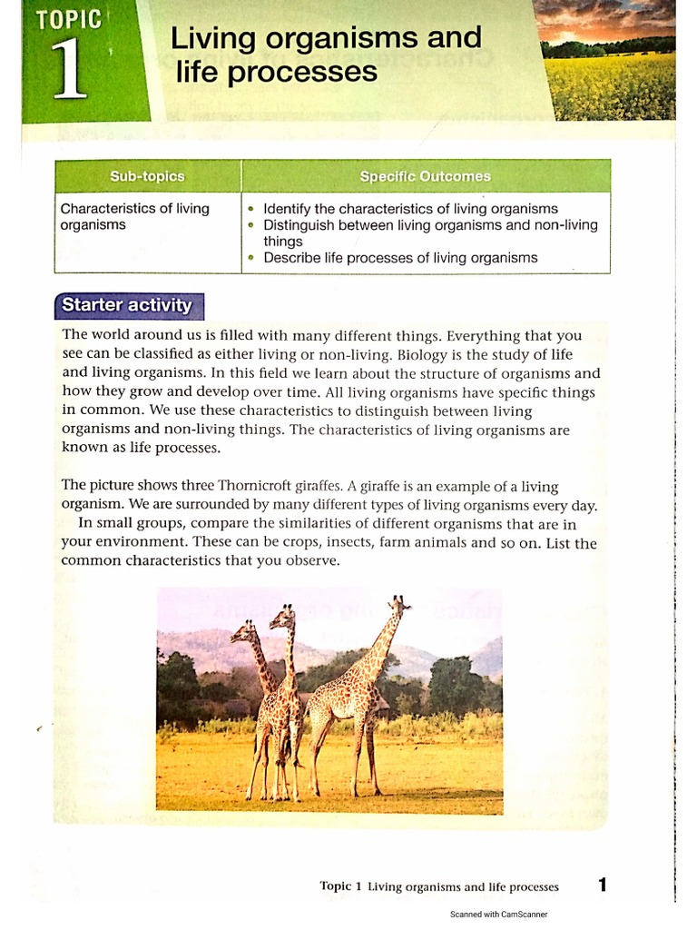 BIO - Living Organisms and Life Processes Notes | PDF