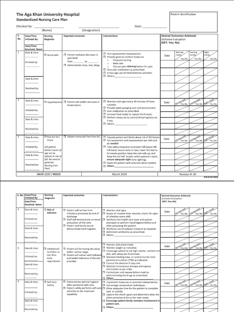 Standardized Nursing Care Plan | PDF