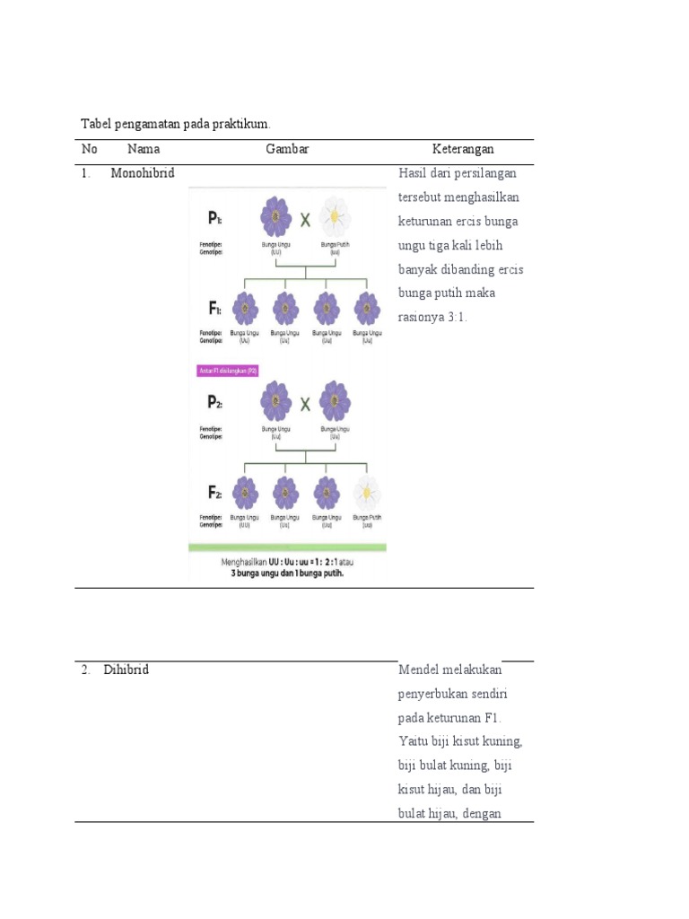 Tabel Pengamatan Pada Praktikum | PDF