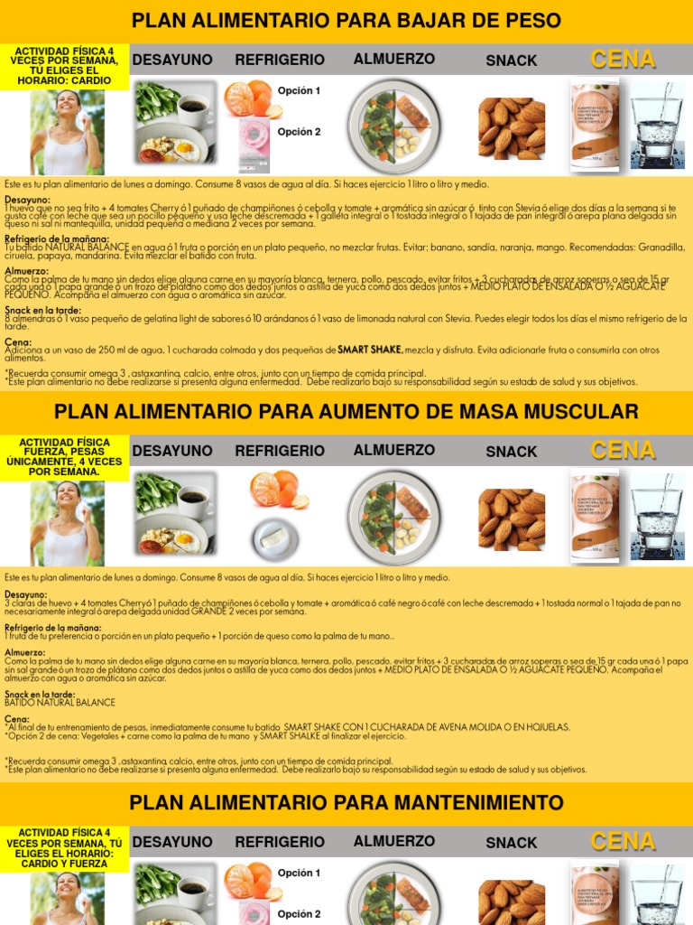 Menús Con Smart Shake | PDF