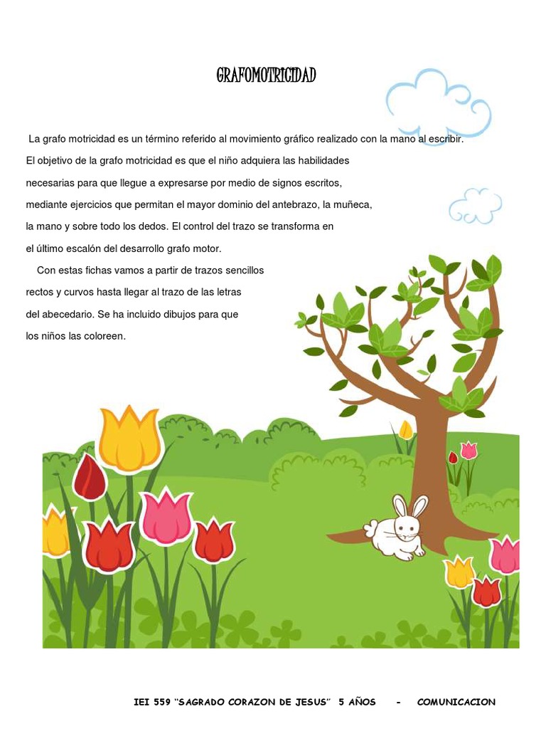 Libro de Trazos | PDF