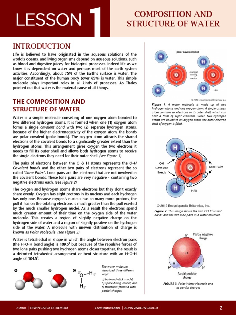 02 Module 1 Lesson 1 Contents | PDF | Chemical Polarity | Chemical Bond
