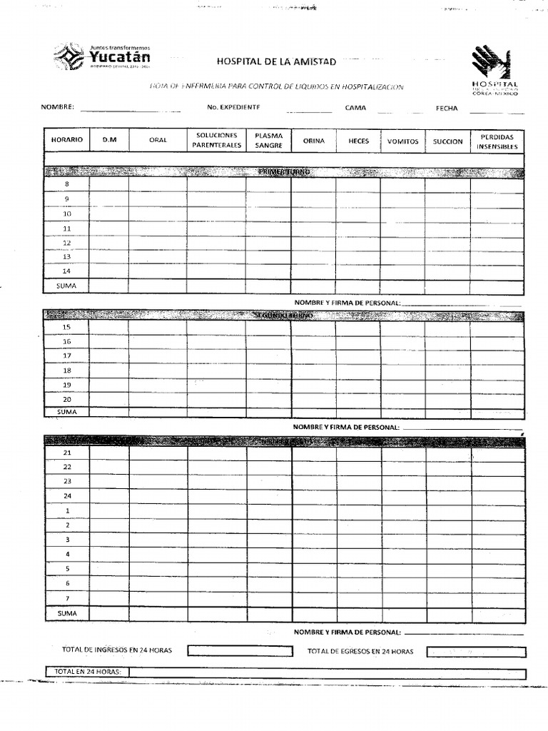 Hoja de Control de Liquidos | PDF
