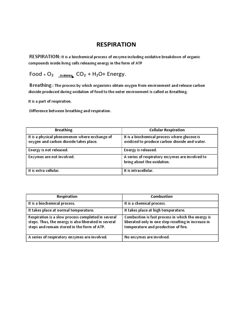Respiration | PDF | Cellular Respiration | Respiration