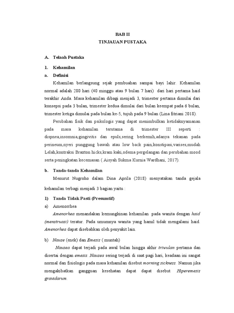 BAB II (Repaired) | PDF