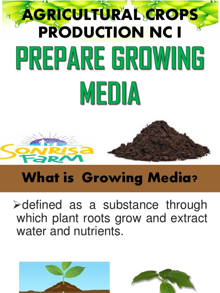 Growing Media and Their Importance in Agricultural Crop Production ...