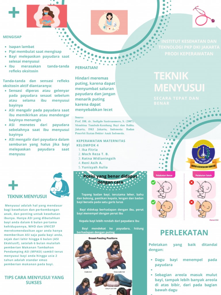 Leaflet Teknik Menyusui | PDF