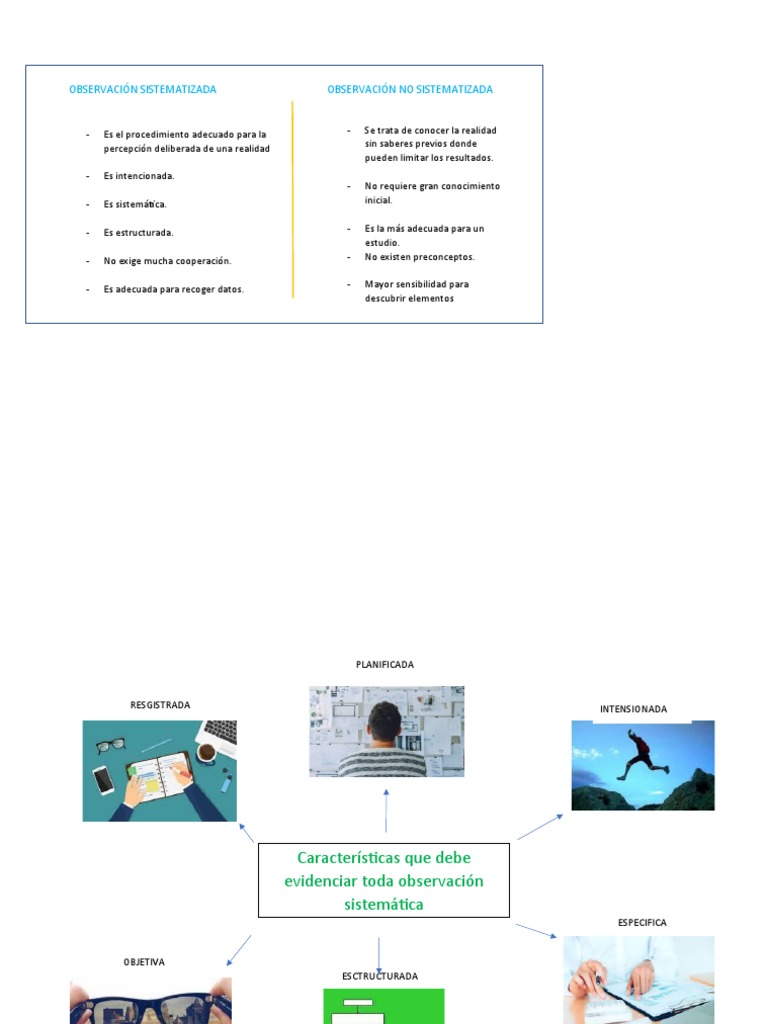 Observación Sistemática | PDF