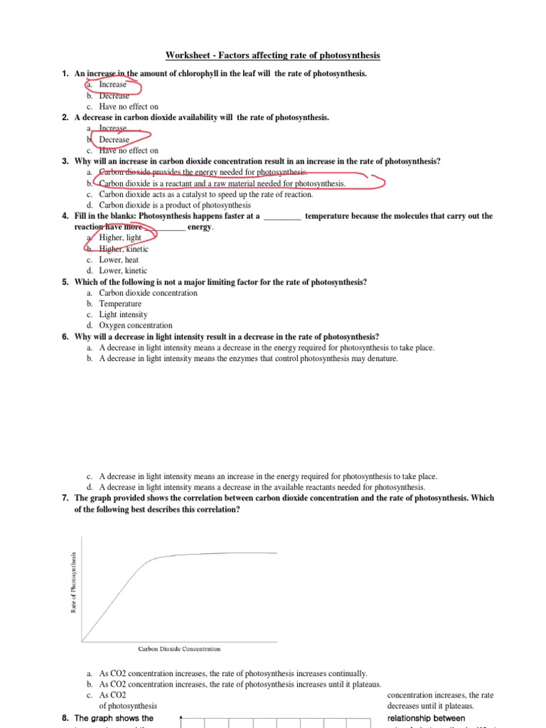 Factors Affecting Rate of Photosynthesis | PDF | Photosynthesis ...