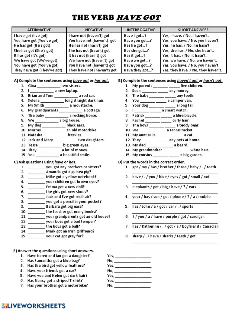 Have Got Has Got | PDF