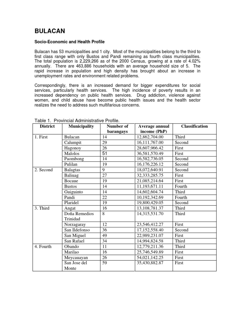 Bulacan: Socio-Economic and Health Profile | PDF | Hospital | Public Health