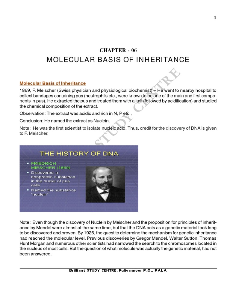 Molecular Basis of Inheritance | PDF | Messenger Rna | Genetic Code