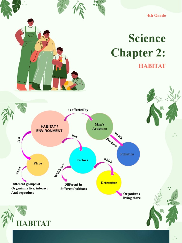 Handout Chapter 2 Habitat By Miss Santi Pdf Habitat Plants