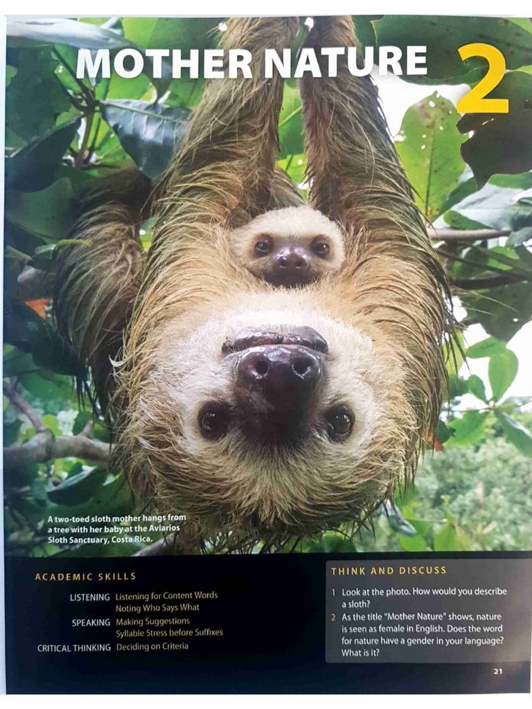 Pathways 3 Listening, Speaking, and Critical Thinking | PDF