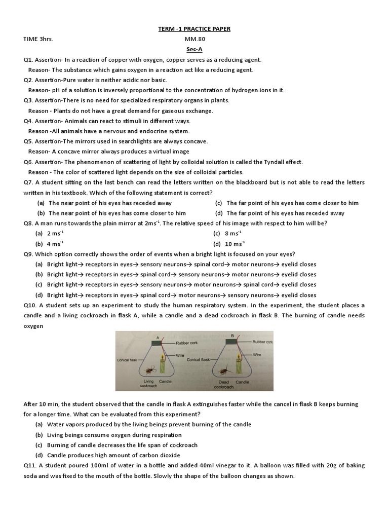 Term 1. Practice Paper 2023 | PDF | Light | Electromagnetic Spectrum