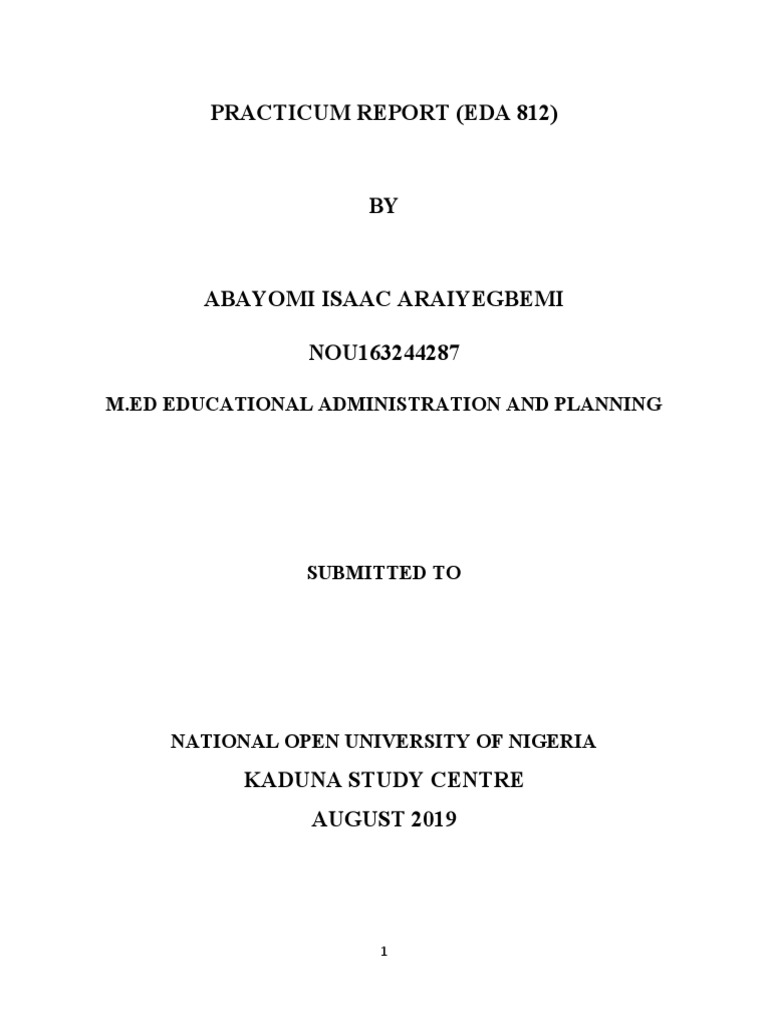 Practicum Report | PDF | Experience