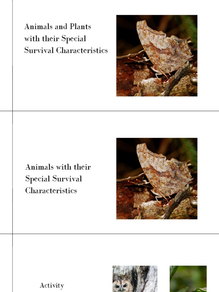 Animals and Plants With Their Special Survival Characteristics | PDF ...