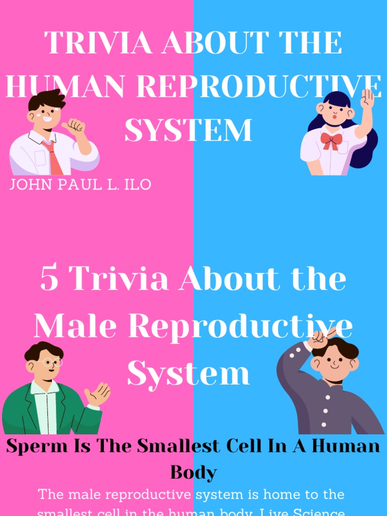 Trivia About The Human Reproductive System | Download Free PDF ...