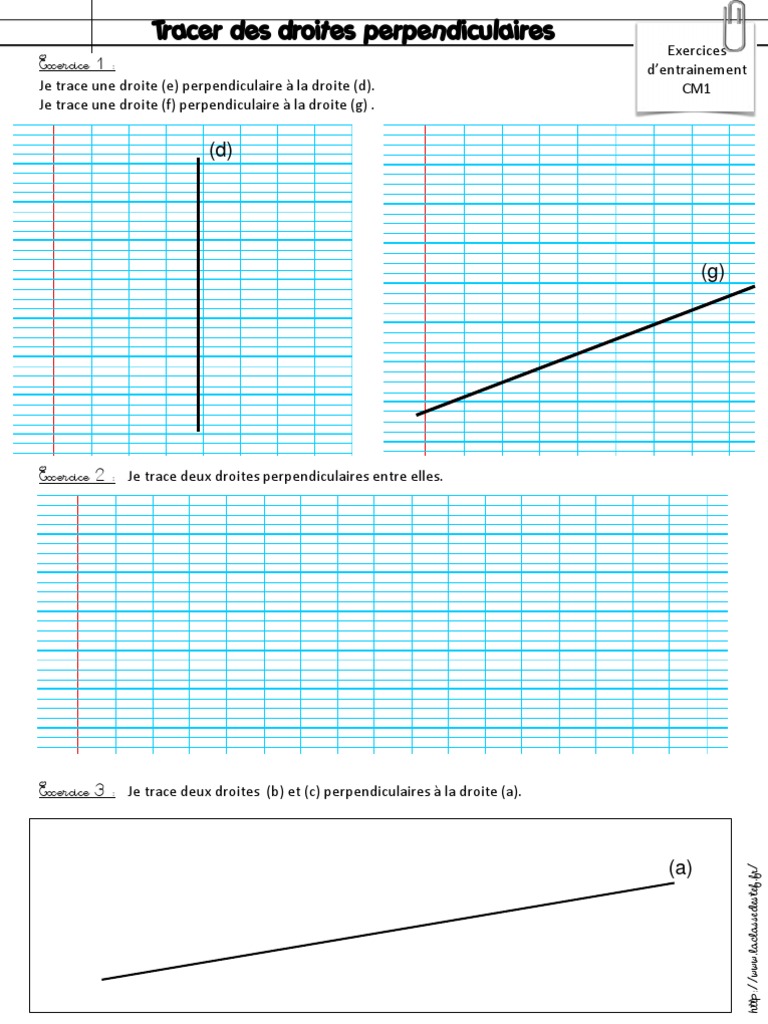 Exercice Tracer Des Droites Perpendiculaires - S | PDF