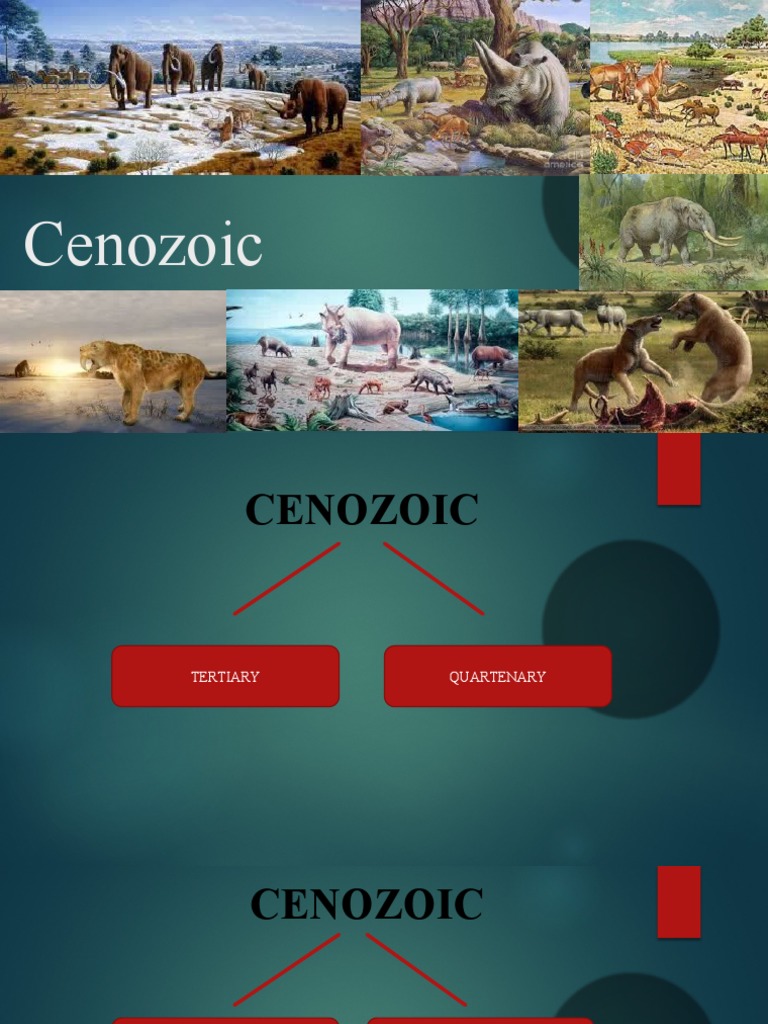 Cenozoic | PDF