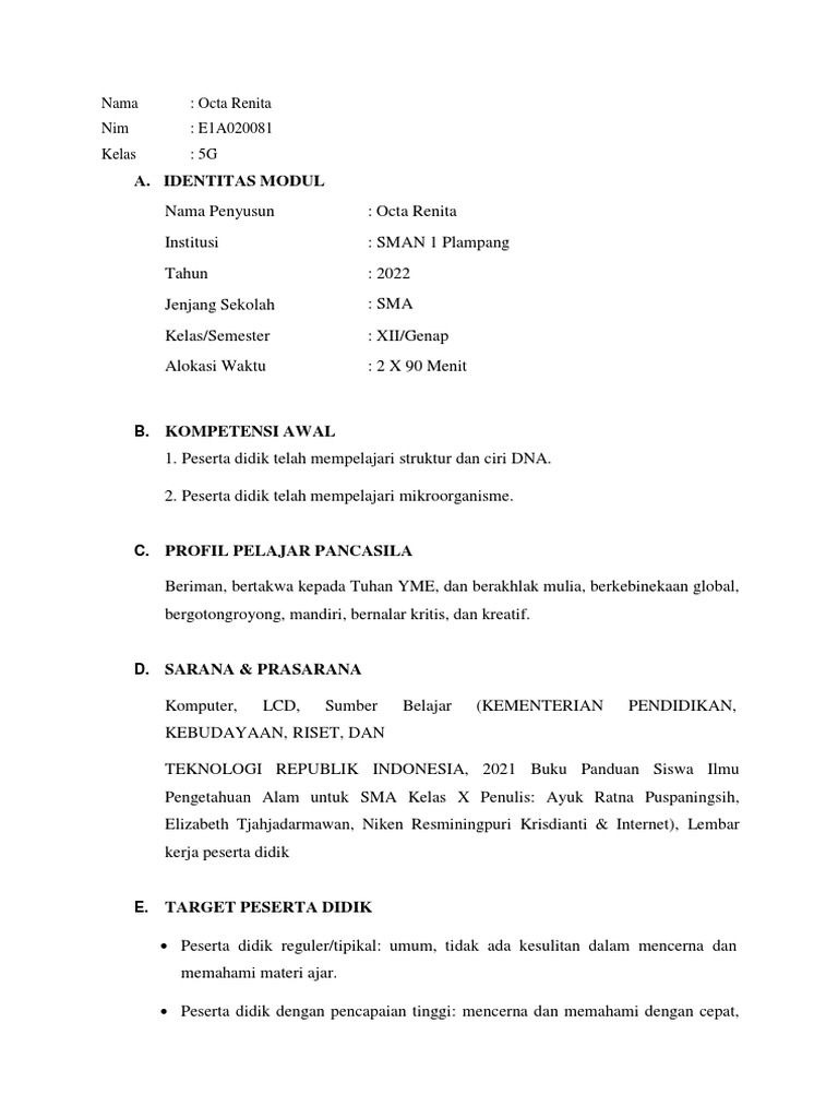 Modul Ajar PJBL | PDF