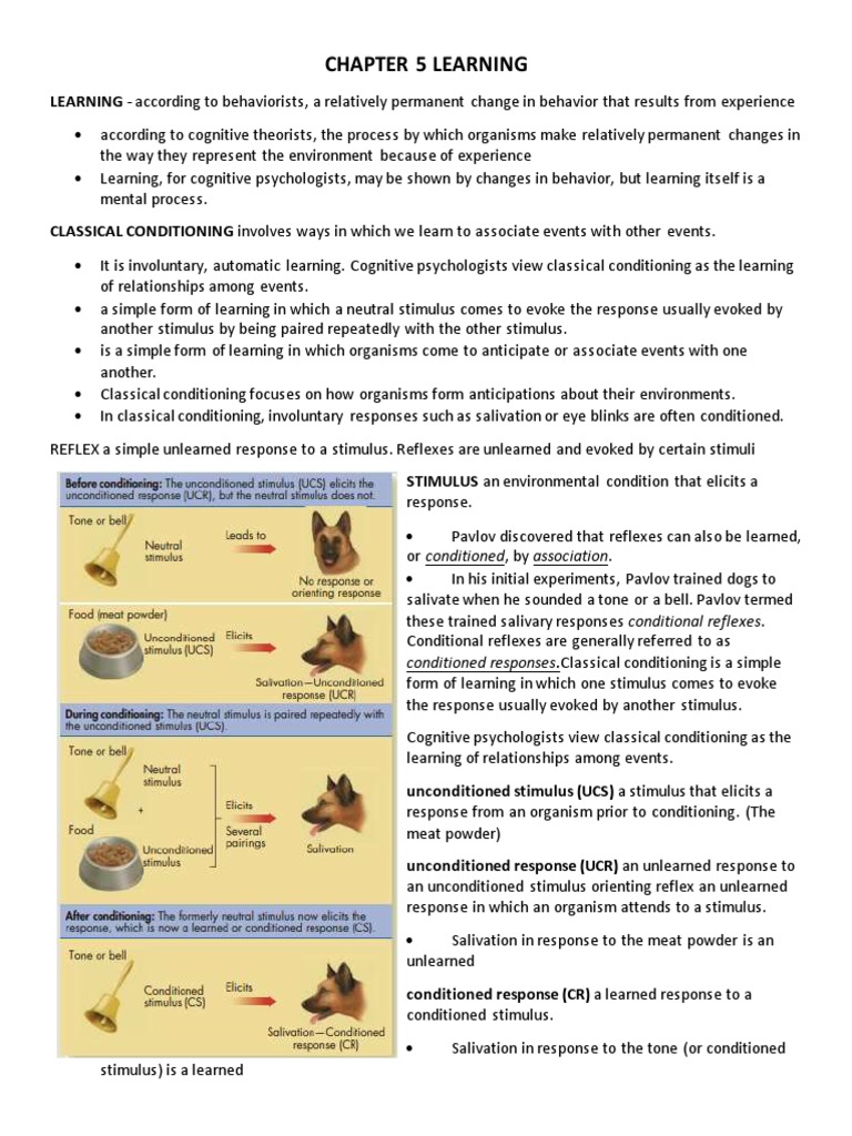 Chapter 5&6 Psychology | PDF | Classical Conditioning | Reinforcement