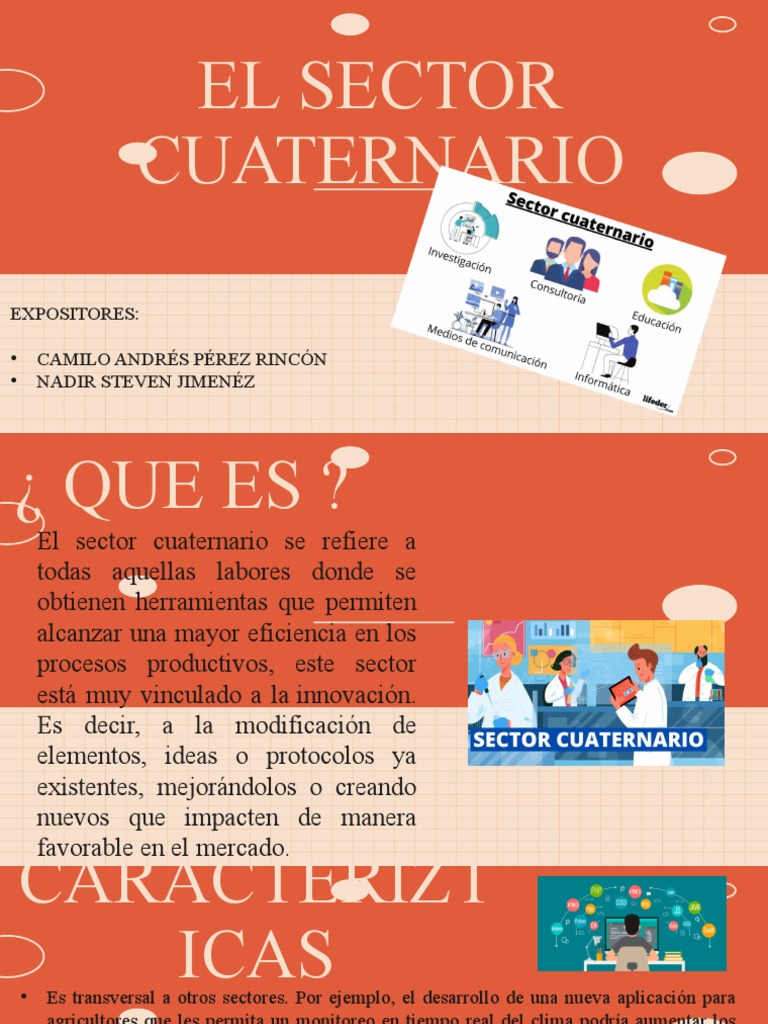 El Sector Cuaternario | PDF
