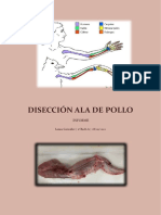 Disección Muslo de Pollo Informe | PDF | Hueso | Músculo