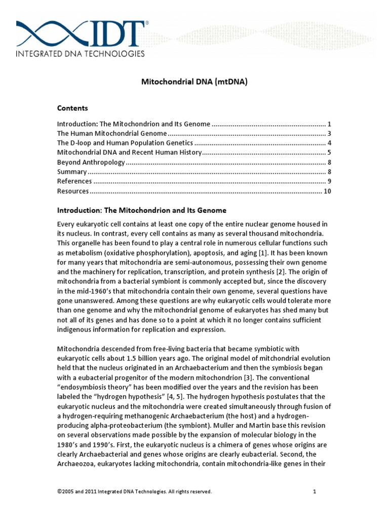Mitochondrial Dna | PDF | Mitochondrion | Mitochondrial Dna