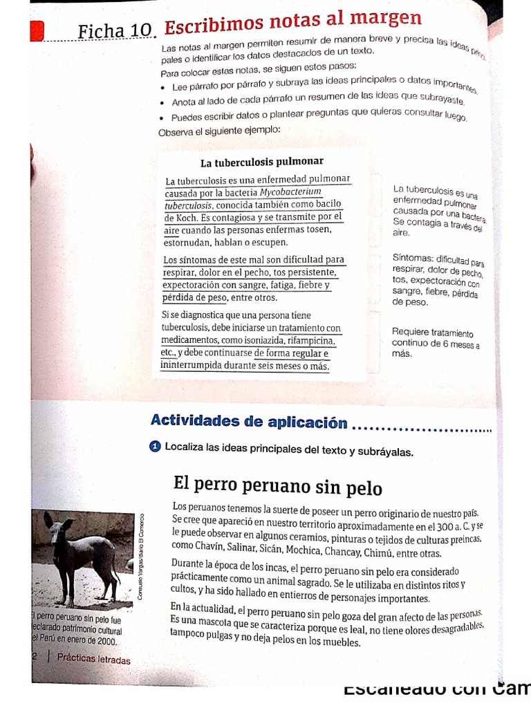 3er - Bimestre Guia1 Notas Al Margen | PDF