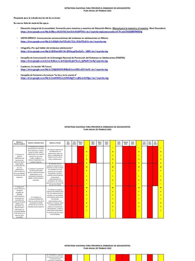 Plan Anual de Trabajo (ENAPEA) 2022 | PDF | Control de la natalidad
