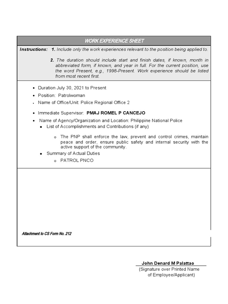 Work Experience Sheet | PDF | Police | Crime & Violence