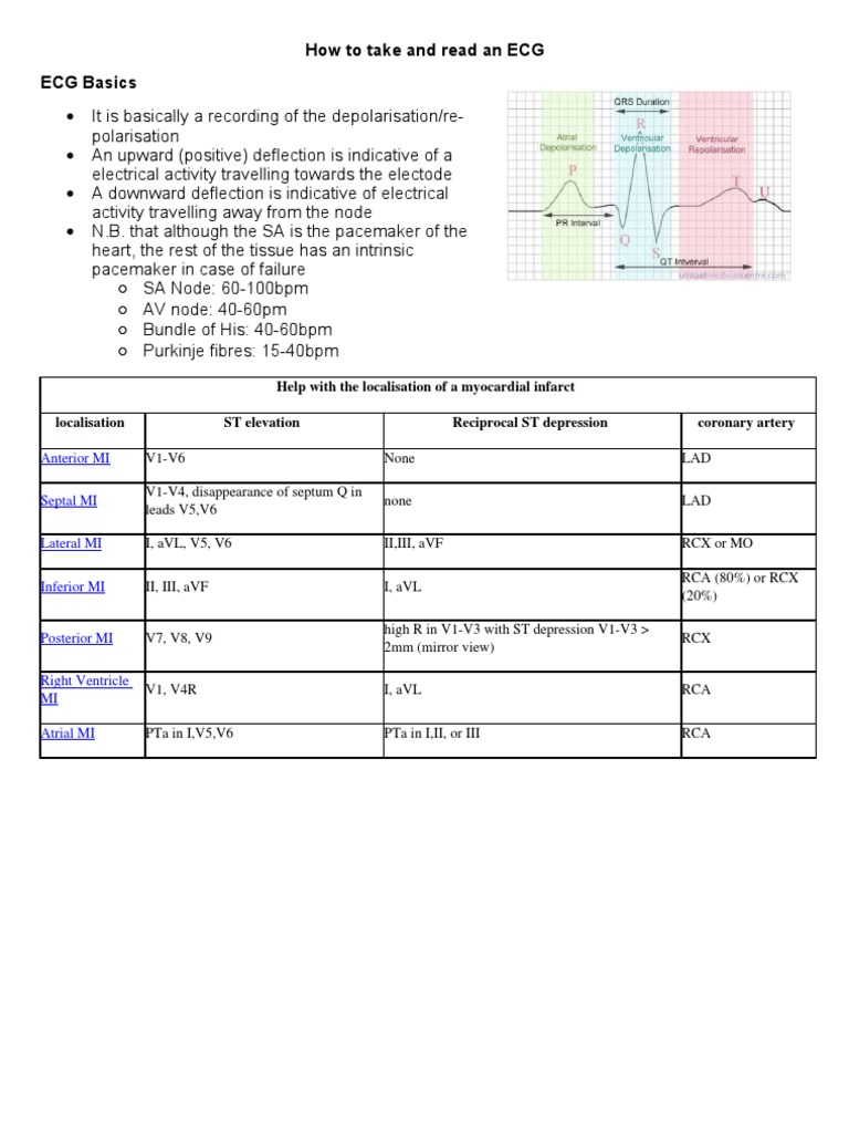 How To Take and Read An ECG ECG Basics | PDF | Electrocardiography | Heart