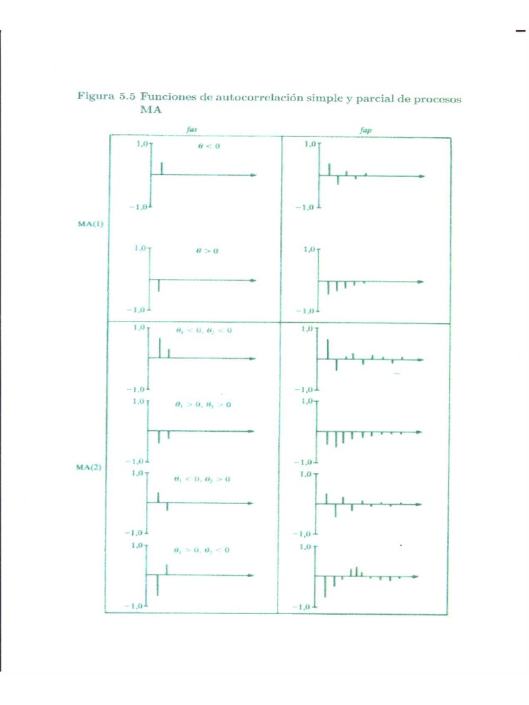FAC y FACP Procesos MA | PDF