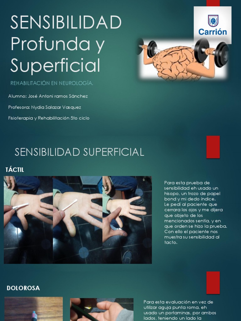 SENSIBILIDAD | PDF | Mano