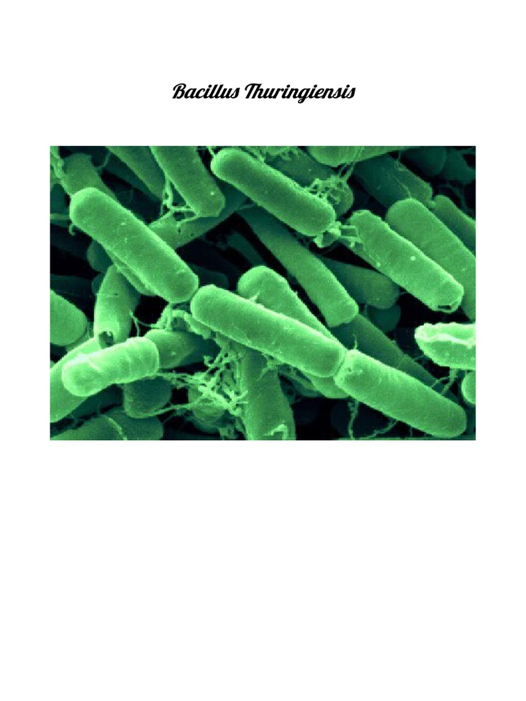 Plaguicidas | PDF | Biología | Especialidades Medicas Plaguicidas | PDF | Biología | Especialidades Medicas