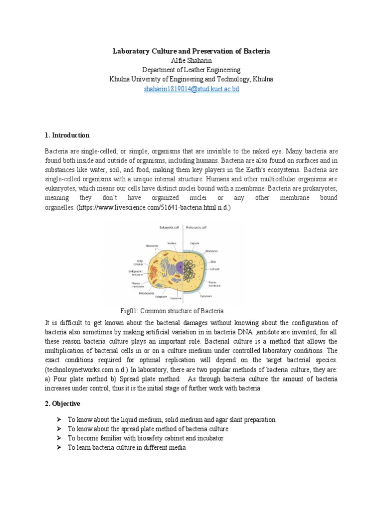 Laboratory Culture and Preservation of Bacteria, Alfie1819014 ...