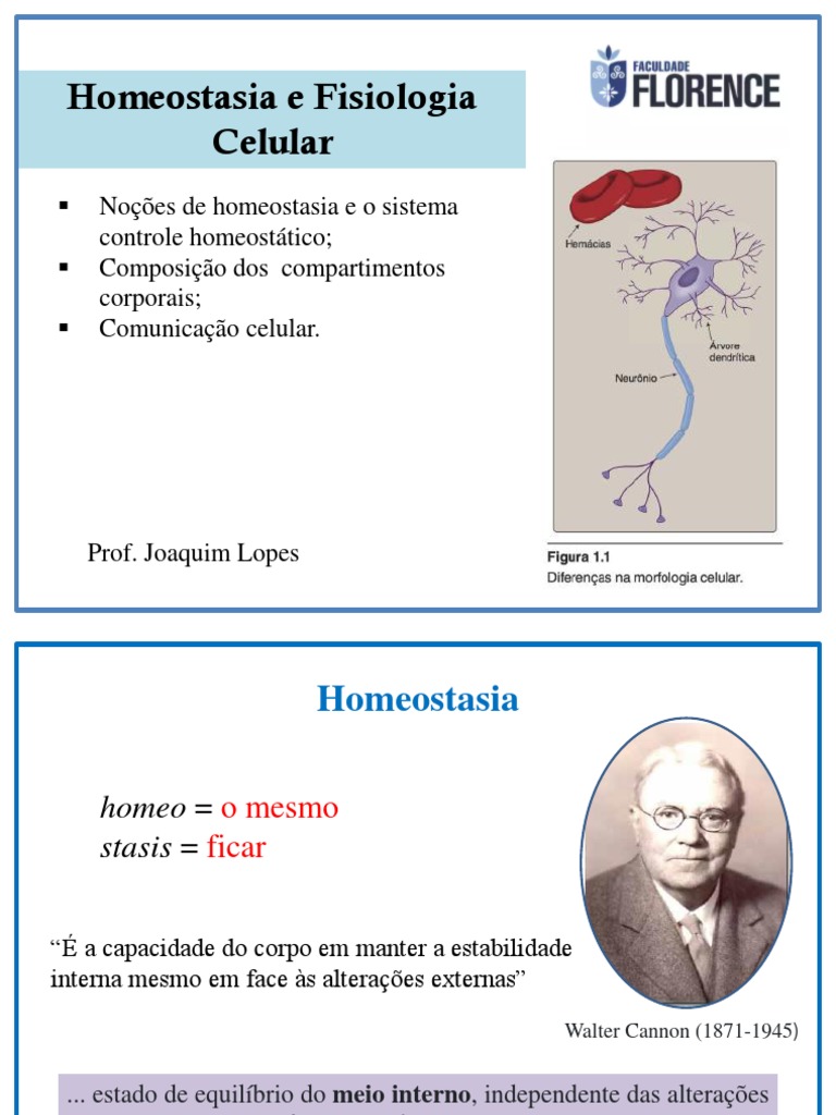 Aula 02 - Homeostasia e Fisiologia Celular | PDF | Homeostase ...