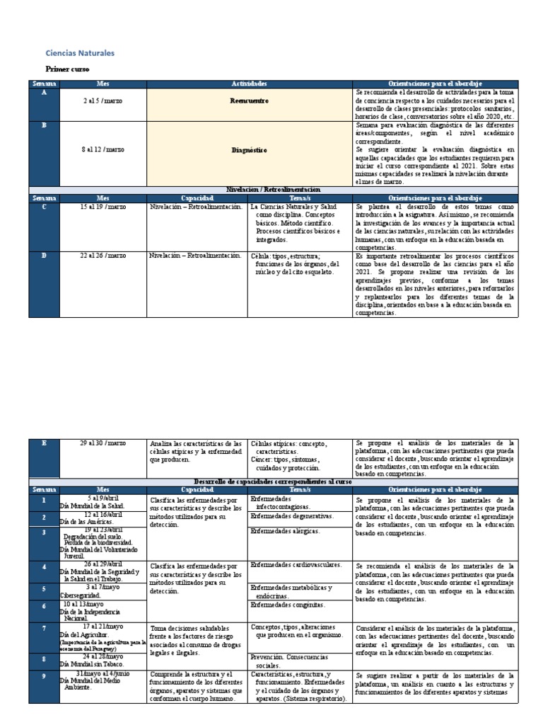 Plan Anual1° | PDF | Evaluación | Paraguay