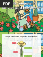 Proiect Tematic Meserii Grupa Mare | PDF