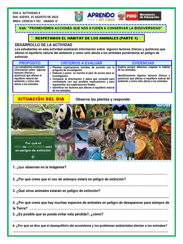 Actividad 4 Dia Jueves 25 de Agosto - Ciencia y Tec-2022 | PDF ...