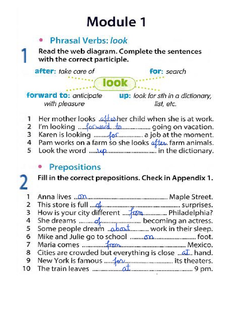 Optional Vocabulary Practice - Module 1 | PDF
